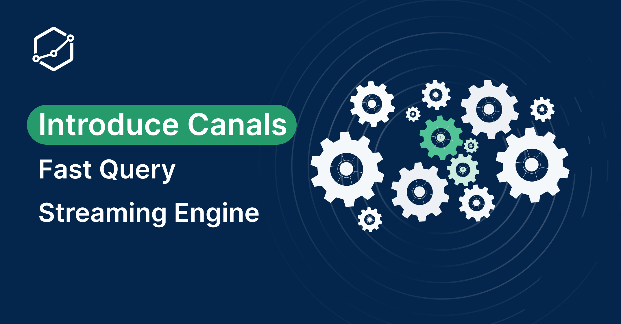 Introducing Holistics Canal - a fast query streaming engine